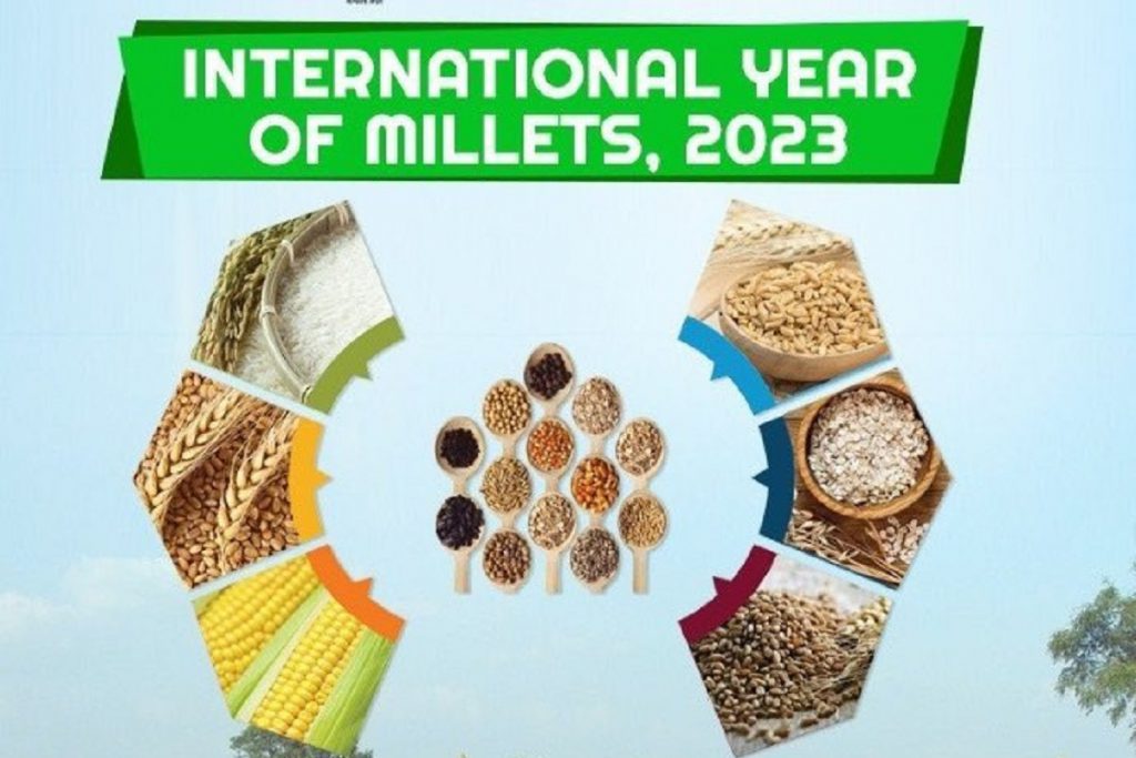 Mission Millets: From India to the World—What So Significant? – The ...