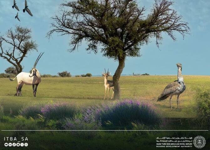 Shamal Reserve Showcased as Leading Sustainable Hunting Destination in ...